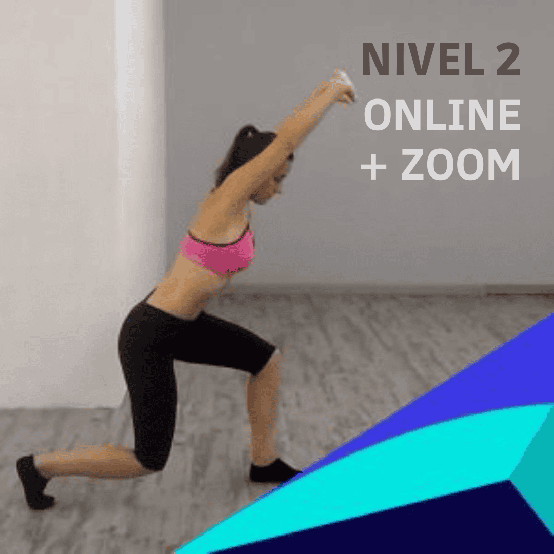 NIVEL 2 ONLINE + ZOOM - Formaciones Online